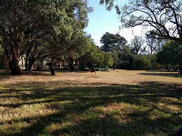 Rietfontein Ridge Municipal Nature Reserve | Trails in SA